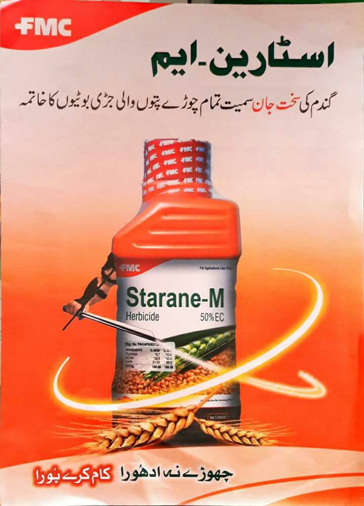 Starane-M - Kisanlink