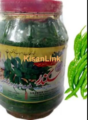 Original Shikarpur Famous Pickle (Achar) - Kisanlink