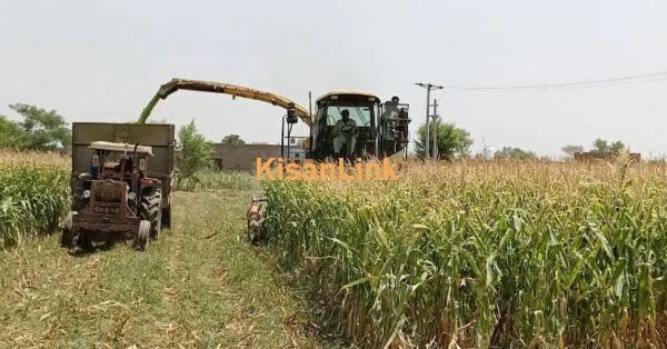 Harvester machine for silage cutting - Kisanlink